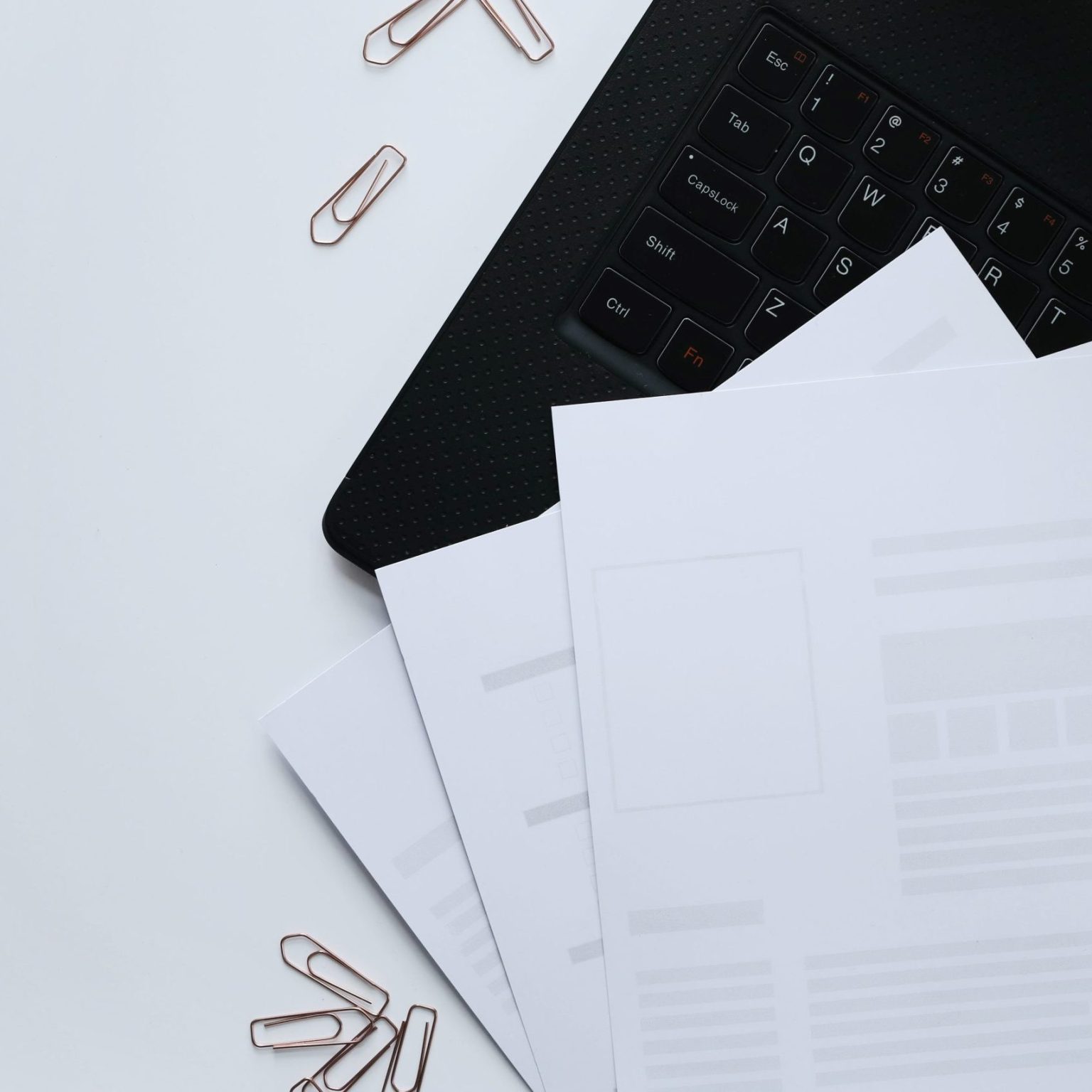 WSDM 2025 – The 18th ACM International Conference on Web Search and Data Mining